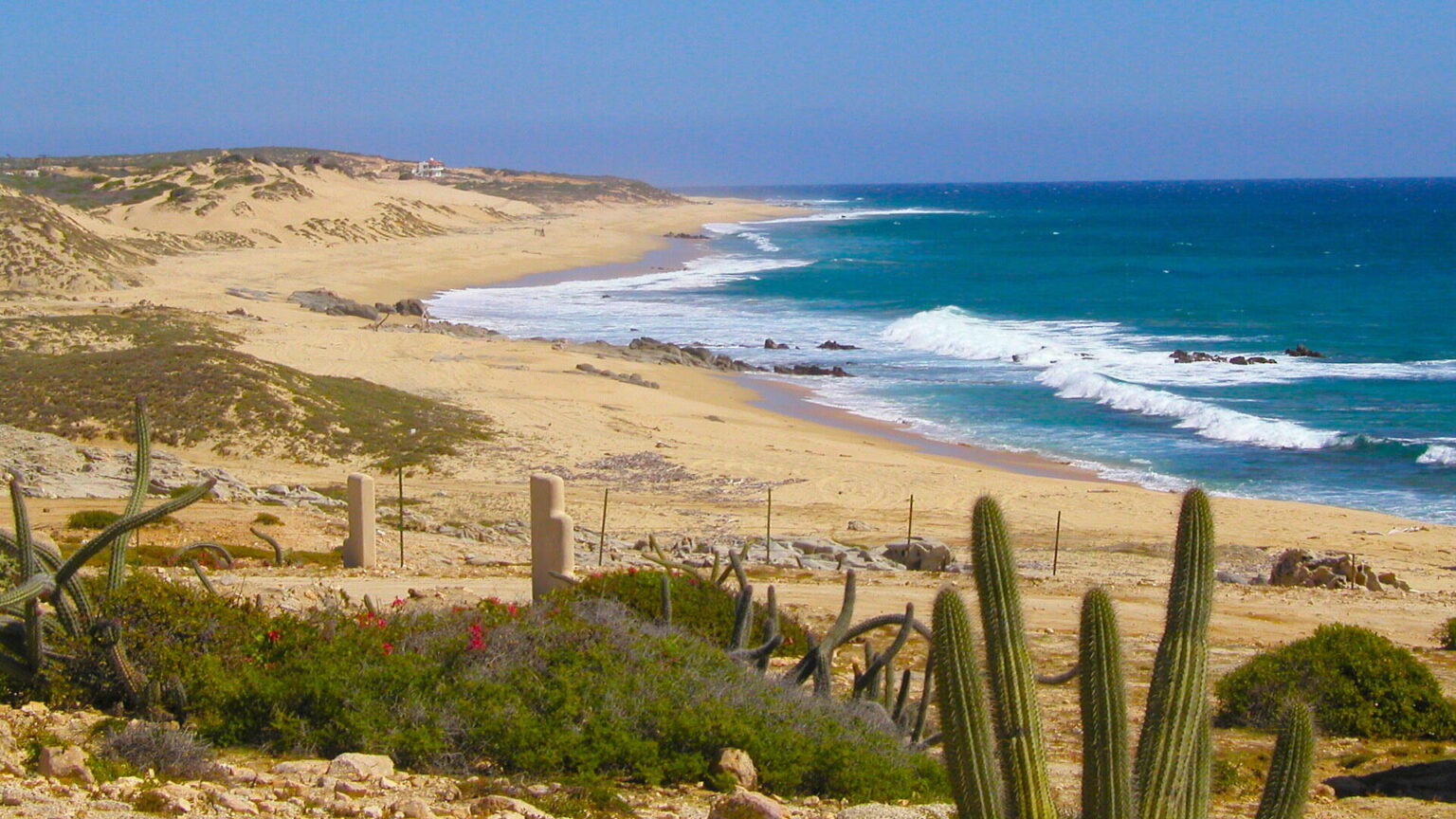 Bahia Turquesa Large Desert - Engel & Völkers Snell Real Estate